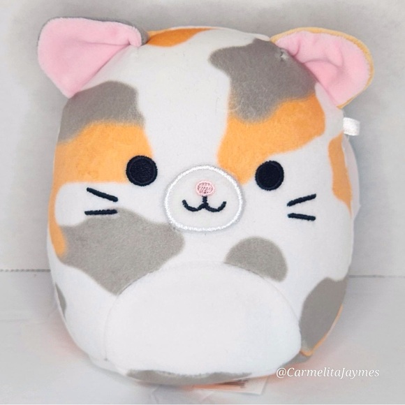 Squishmallows | Toys | Tahoe Orange White Tortoise Shell Cat 5 In ...